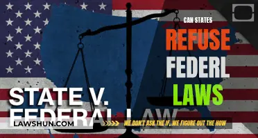 Red Flag Laws: Can States Refuse To Comply? | LawShun