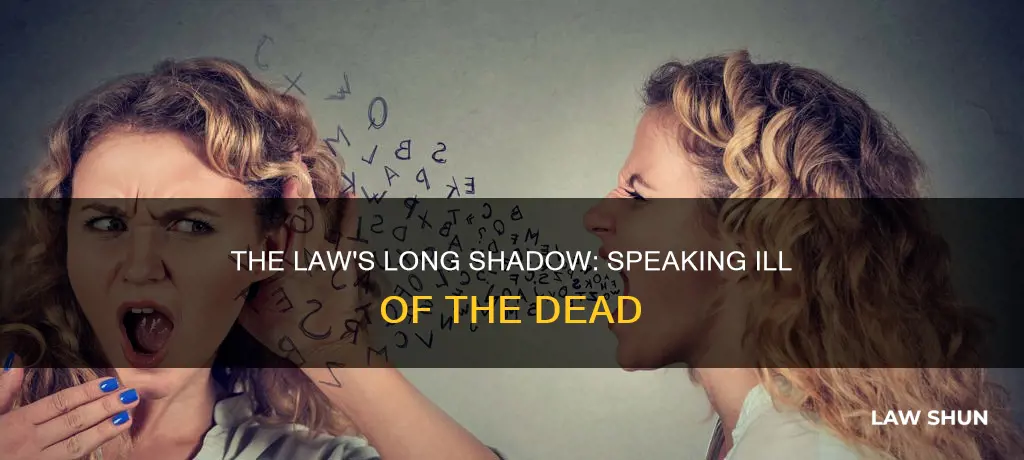 The Law's Long Shadow: Speaking Ill Of The Dead | LawShun