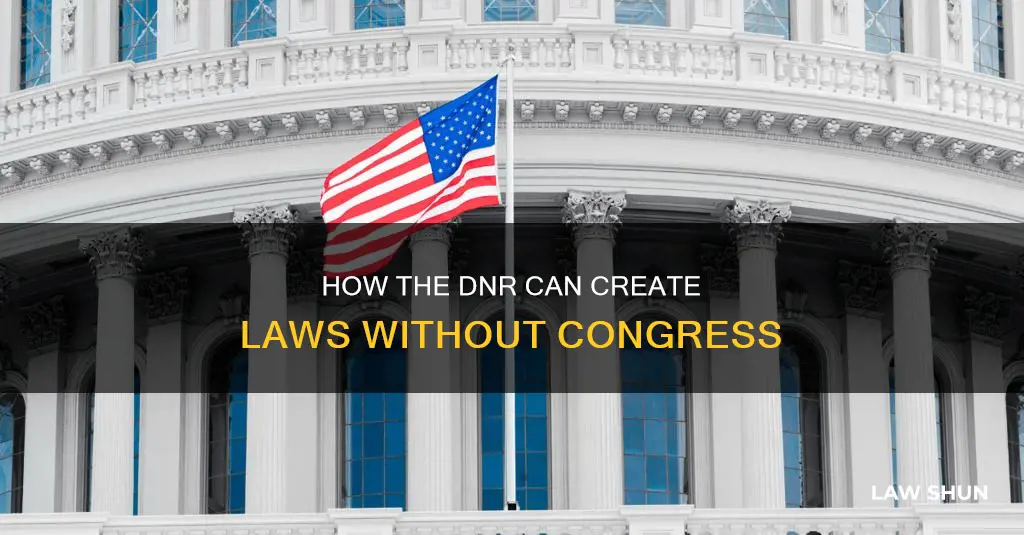 How The Dnr Can Create Laws Without Congress | LawShun
