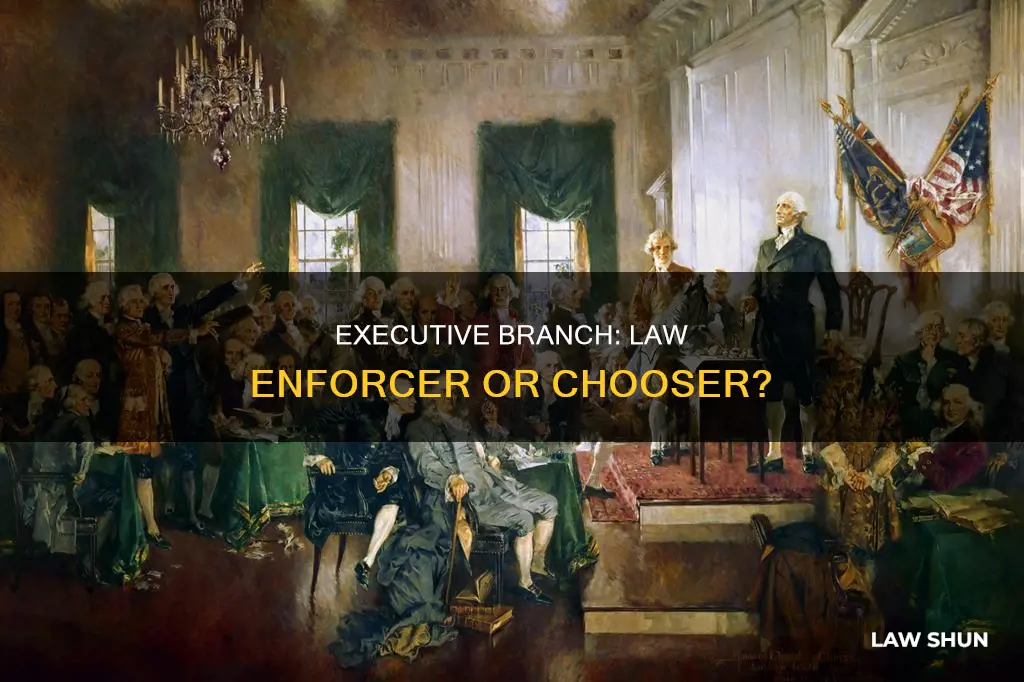 Executive Branch: Law Enforcer Or Chooser? | LawShun
