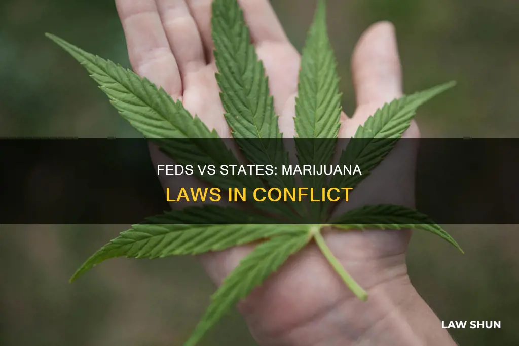 Feds Vs States: Marijuana Laws In Conflict | LawShun