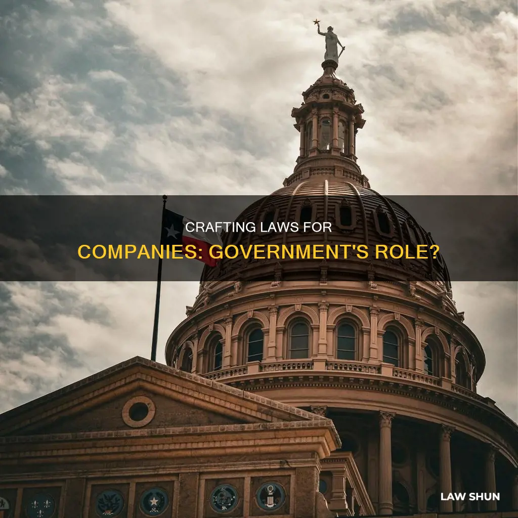 Crafting Laws For Companies: Government's Role? | LawShun