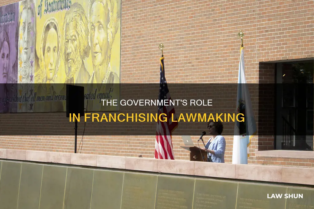 The Government's Role In Franchising Lawmaking | LawShun