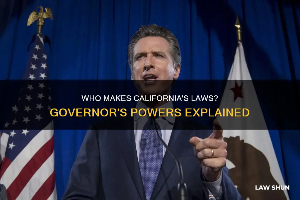 Who Makes California's Laws? Governor's Powers Explained | LawShun