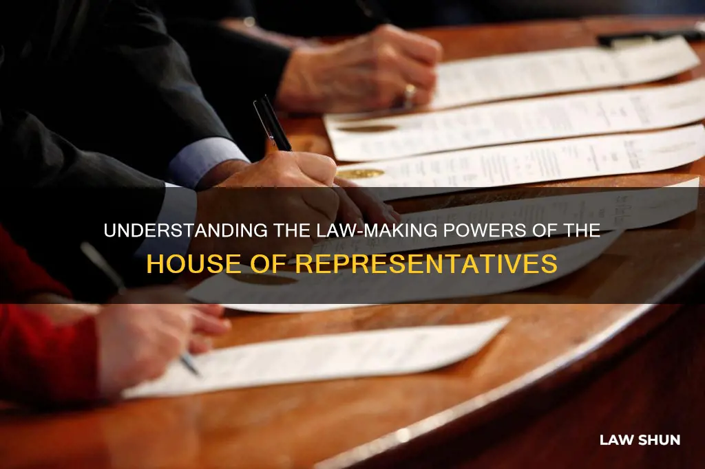 Understanding The Law-Making Powers Of The House Of Representatives ...