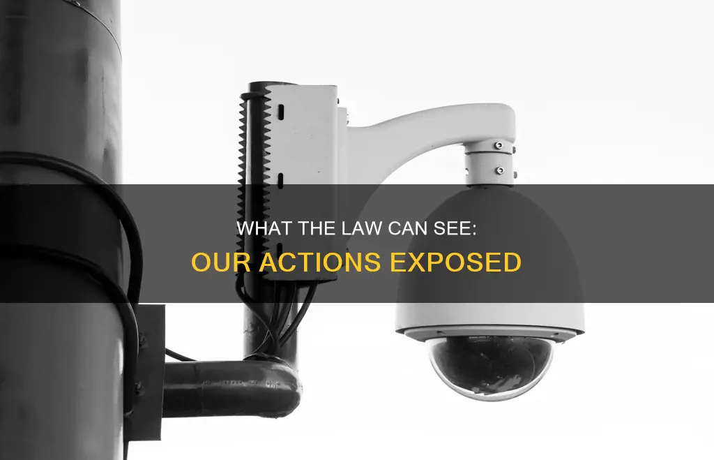 What The Law Can See: Our Actions Exposed | LawShun