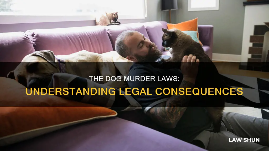 The Dog Murder Laws: Understanding Legal Consequences | LawShun