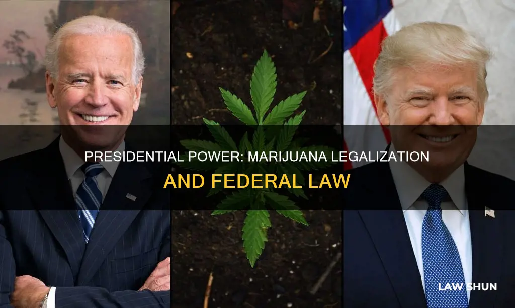 Presidential Power: Marijuana Legalization And Federal Law | LawShun