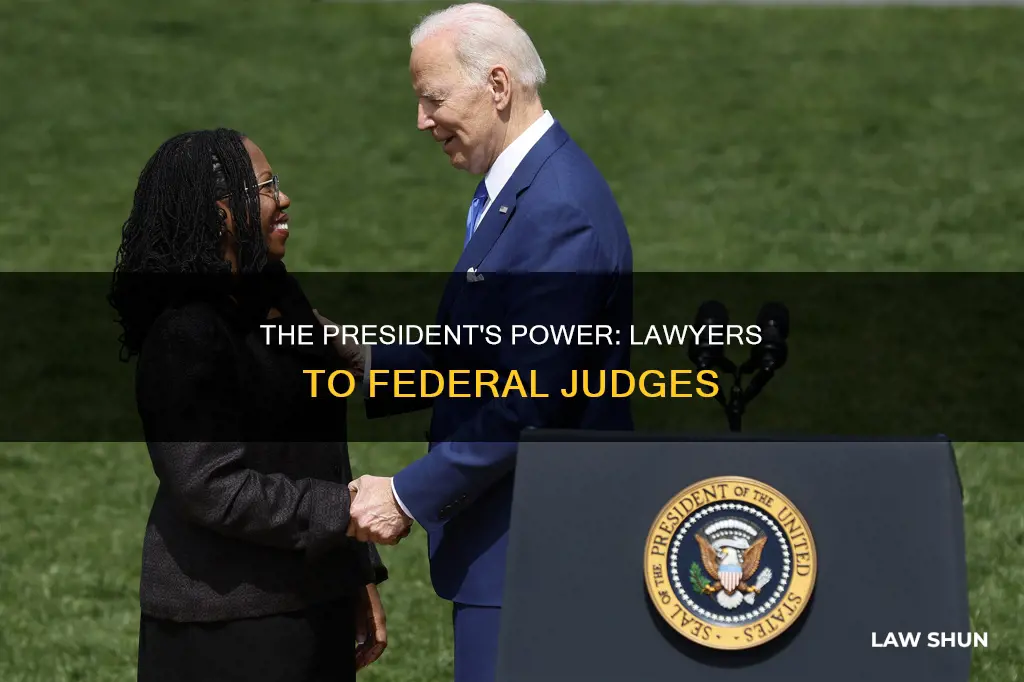 The President's Power: Lawyers To Federal Judges | LawShun