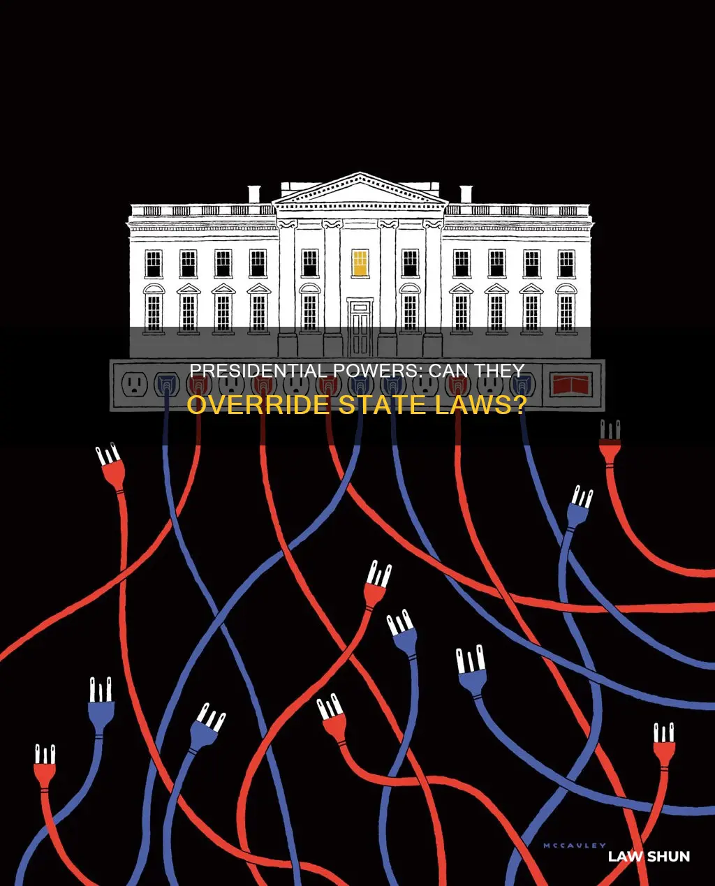Presidential Powers: Can They Override State Laws? | LawShun