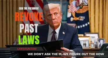 The President's Power: Signing Laws And Limits | LawShun