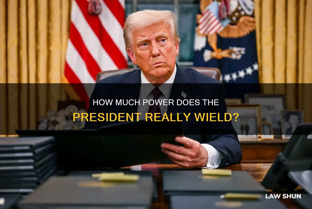 How Much Power Does The President Really Wield? | LawShun