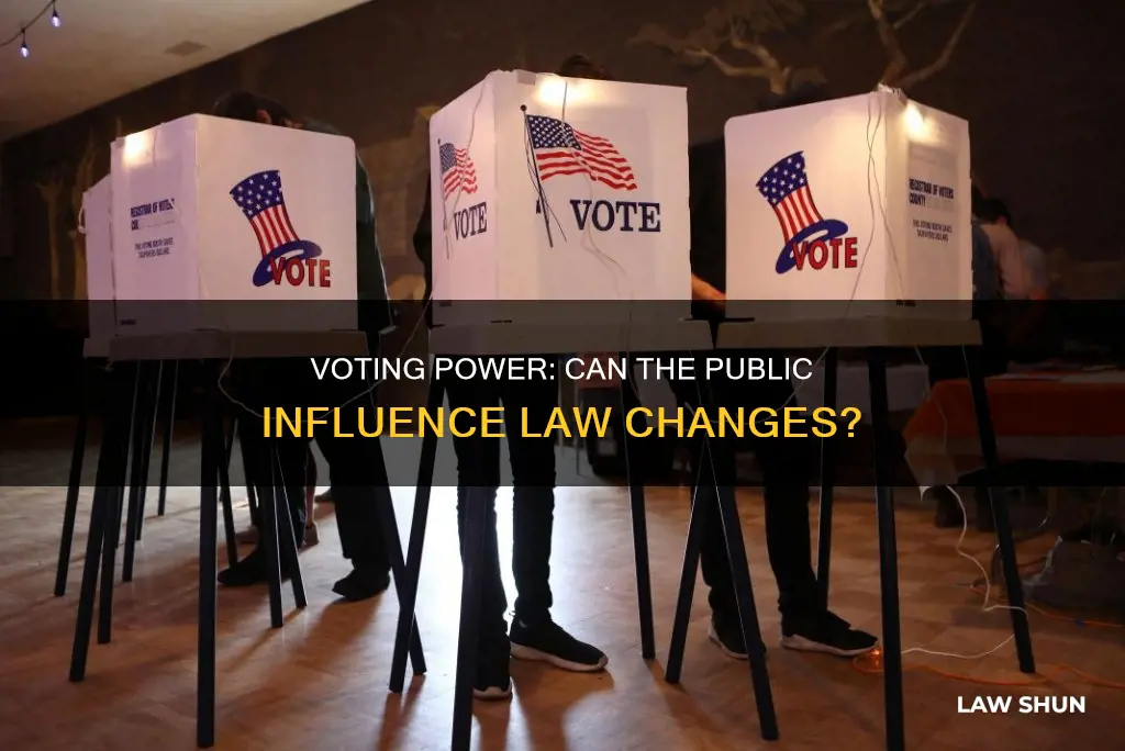Voting Power: Can The Public Influence Law Changes? | LawShun