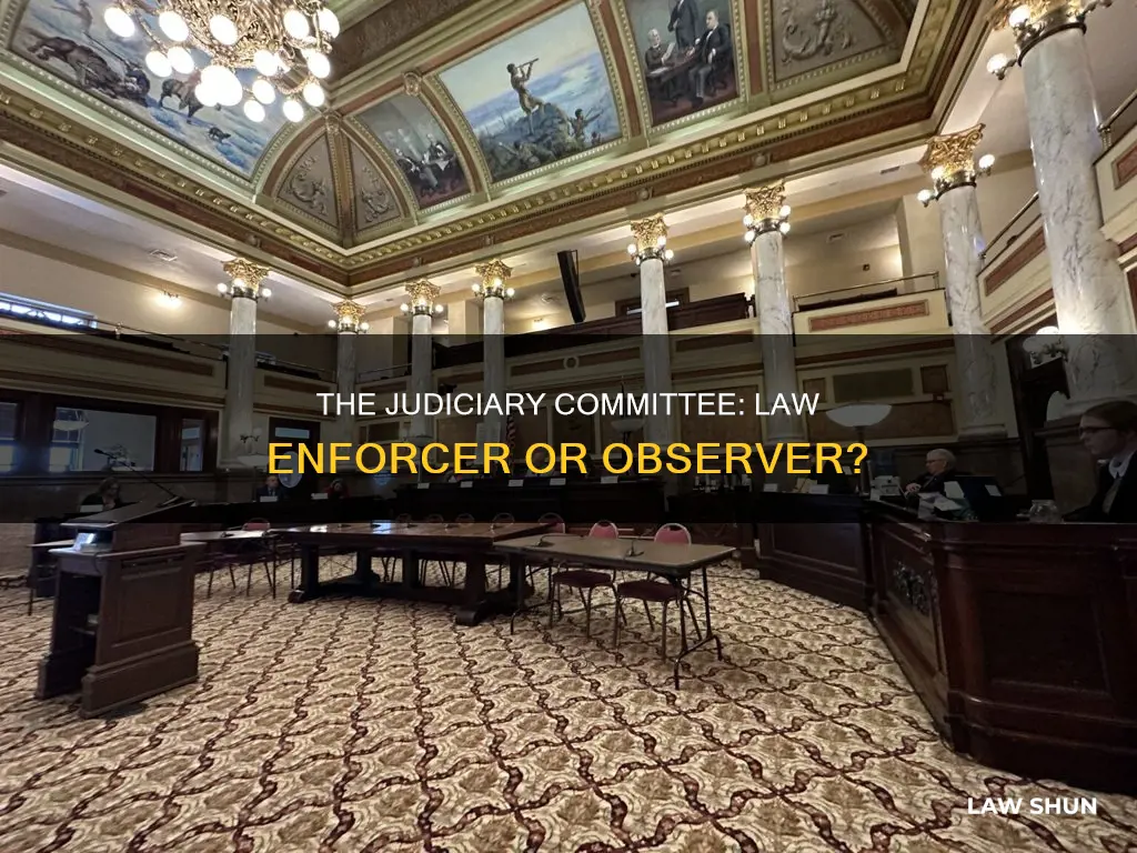 The Judiciary Committee: Law Enforcer Or Observer? | LawShun