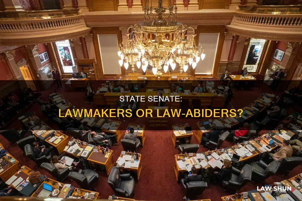 State Senate: Lawmakers Or Law-Abiders? | LawShun