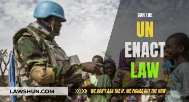 The Un's Legal Power: Can They Enforce Laws? | LawShun