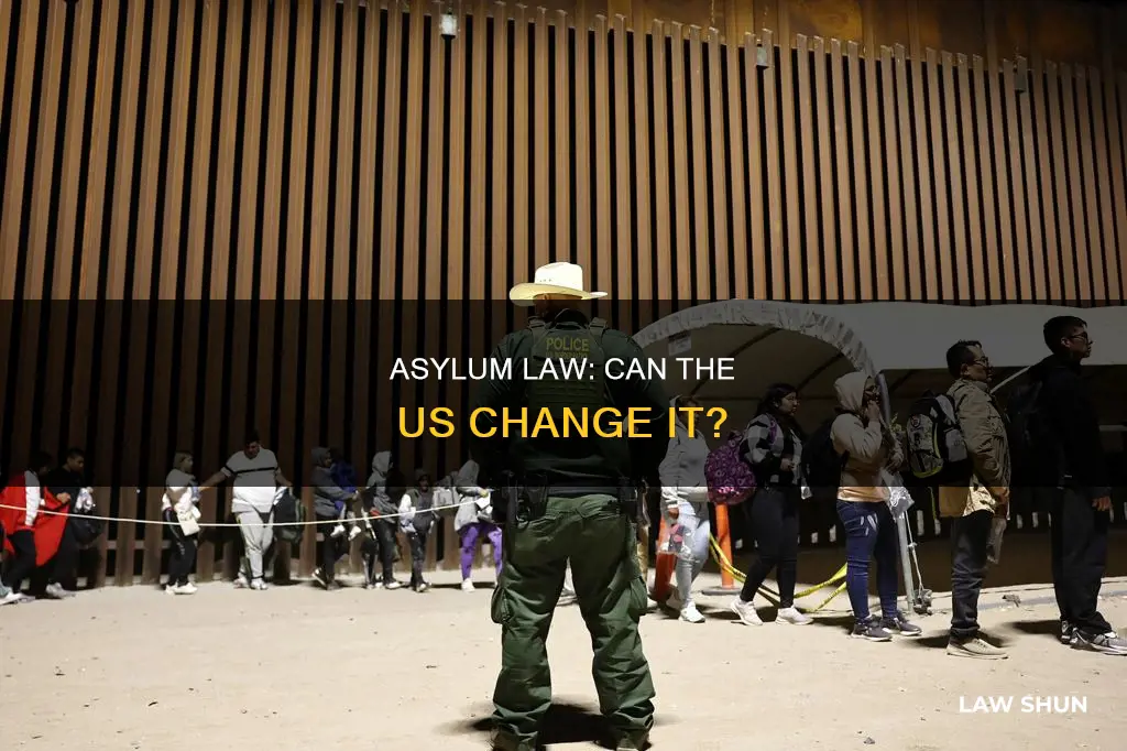 Asylum Law: Can The Us Change It? | LawShun