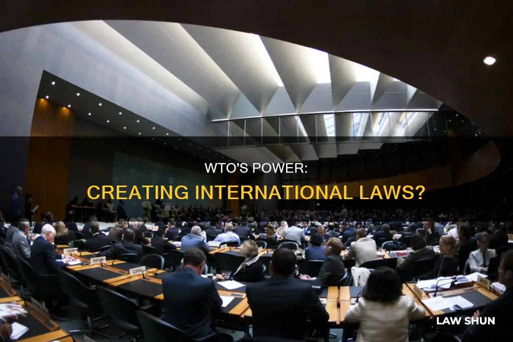 Wto's Power: Creating International Laws? | LawShun
