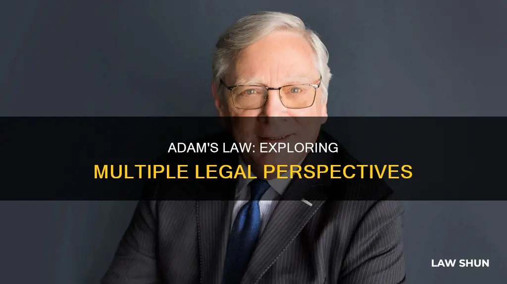 Adam's Law: Exploring Multiple Legal Perspectives | LawShun