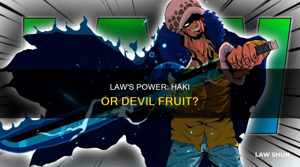 Law's Power: Haki Or Devil Fruit? | LawShun