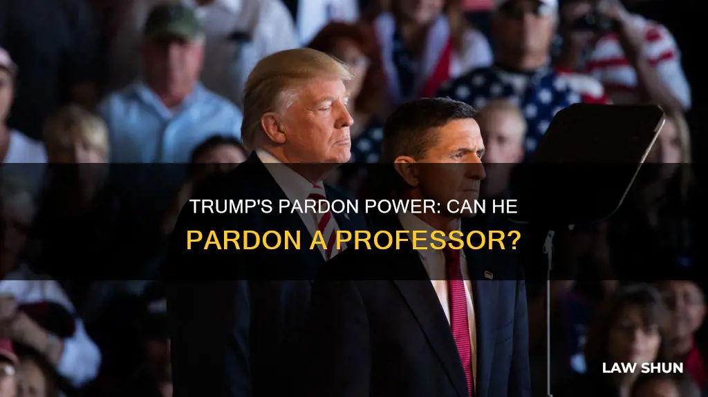 Trump's Pardon Power: Can He Pardon A Professor? | LawShun