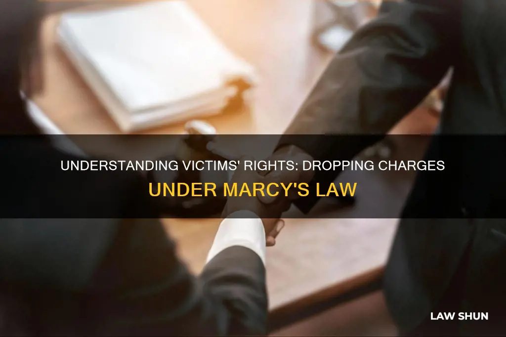 Understanding Victims' Rights: Dropping Charges Under Marcy's Law | LawShun