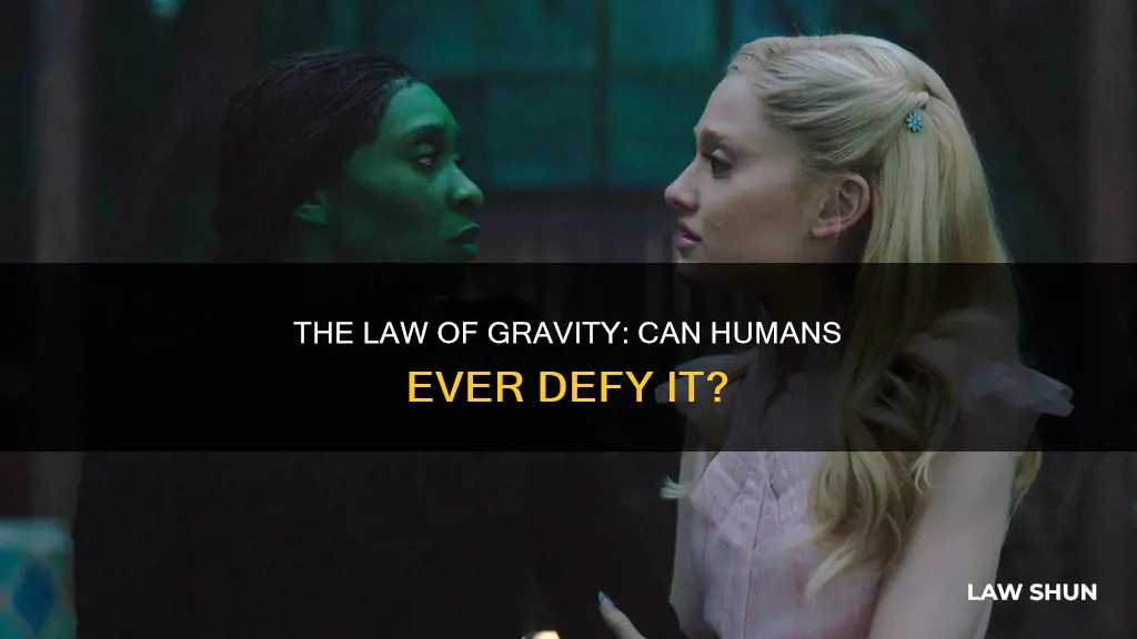 The Law Of Gravity: Can Humans Ever Defy It? | LawShun