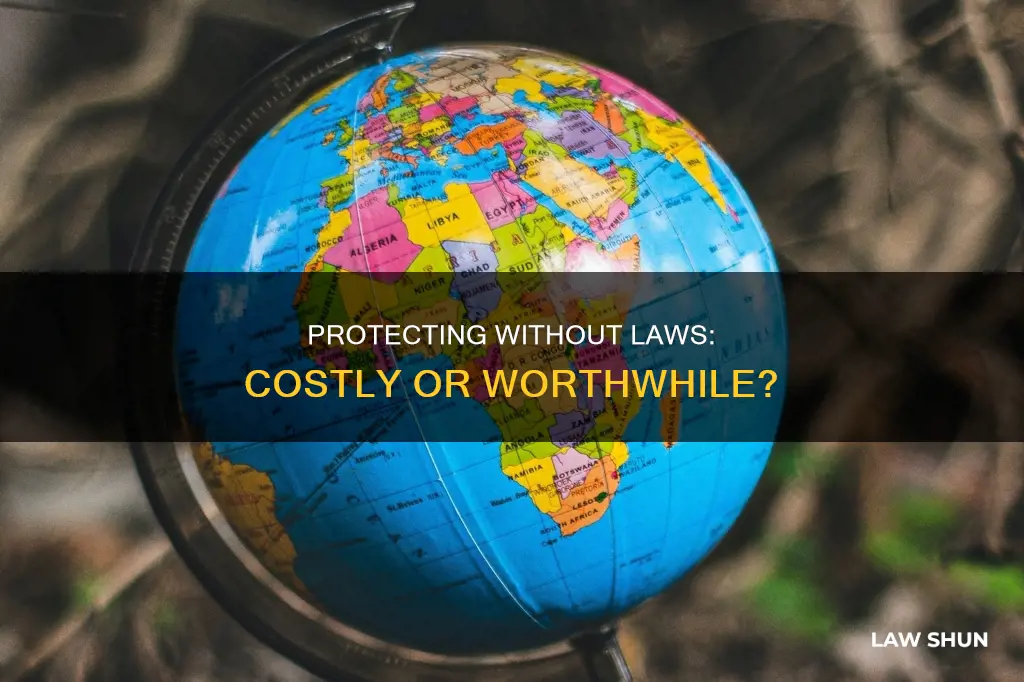 Protecting Without Laws: Costly Or Worthwhile? | LawShun