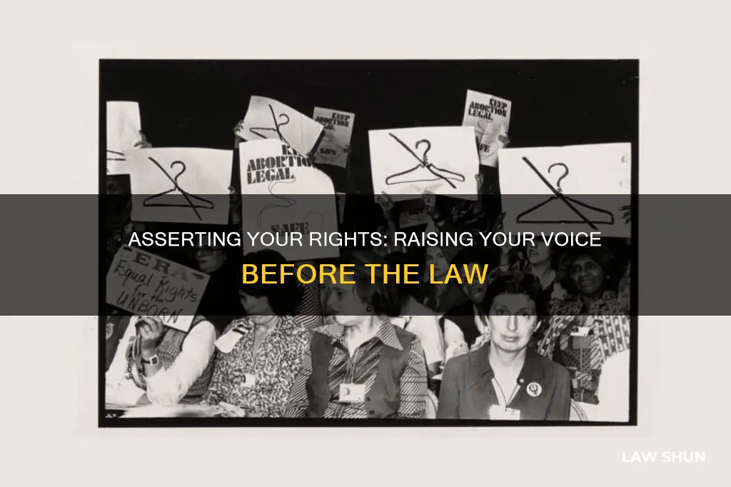 Asserting Your Rights: Raising Your Voice Before The Law | LawShun