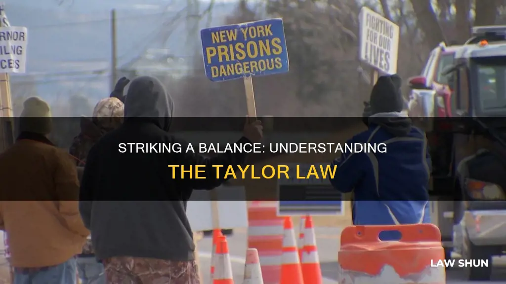 Striking A Balance: Understanding The Taylor Law | LawShun