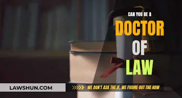 Law Degree To Diplomacy: A Career Transition | LawShun