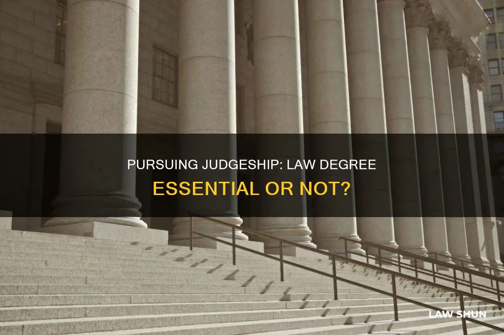 Pursuing Judgeship: Law Degree Essential Or Not? | LawShun