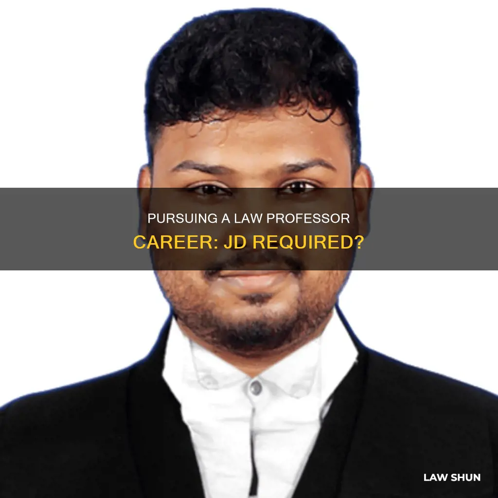 Pursuing A Law Professor Career: Jd Required? | LawShun
