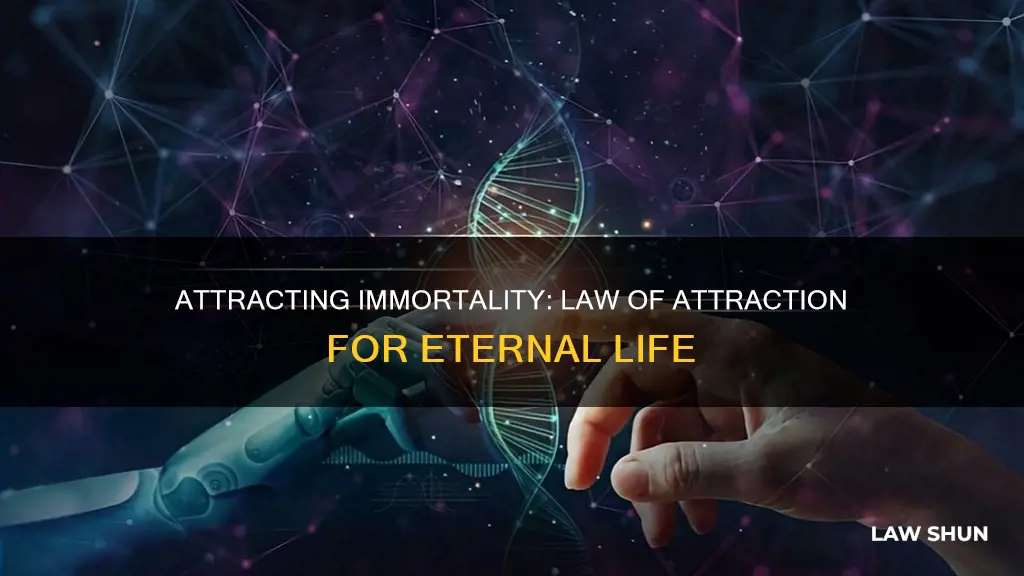 Attracting Immortality: Law Of Attraction For Eternal Life | LawShun