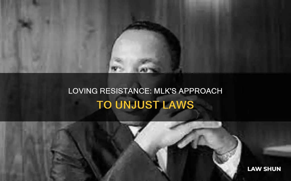 Loving Resistance: Mlk's Approach To Unjust Laws | LawShun