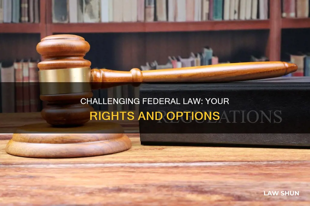 Challenging Federal Law: Your Rights And Options | LawShun
