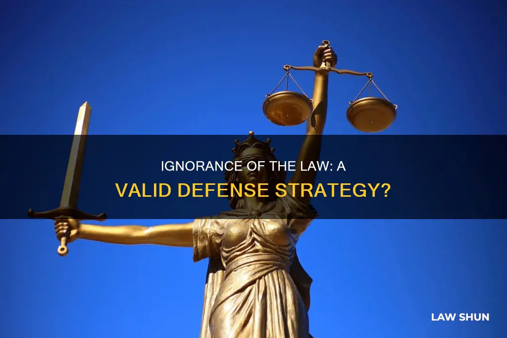 Ignorance Of The Law: A Valid Defense Strategy? | LawShun