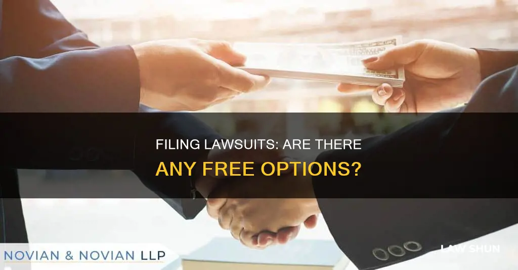 Filing Lawsuits: Are There Any Free Options? | LawShun