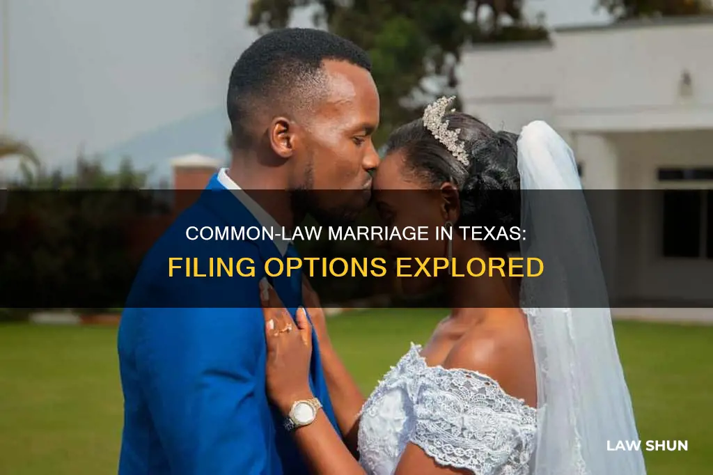 Common-Law Marriage In Texas: Filing Options Explored | LawShun