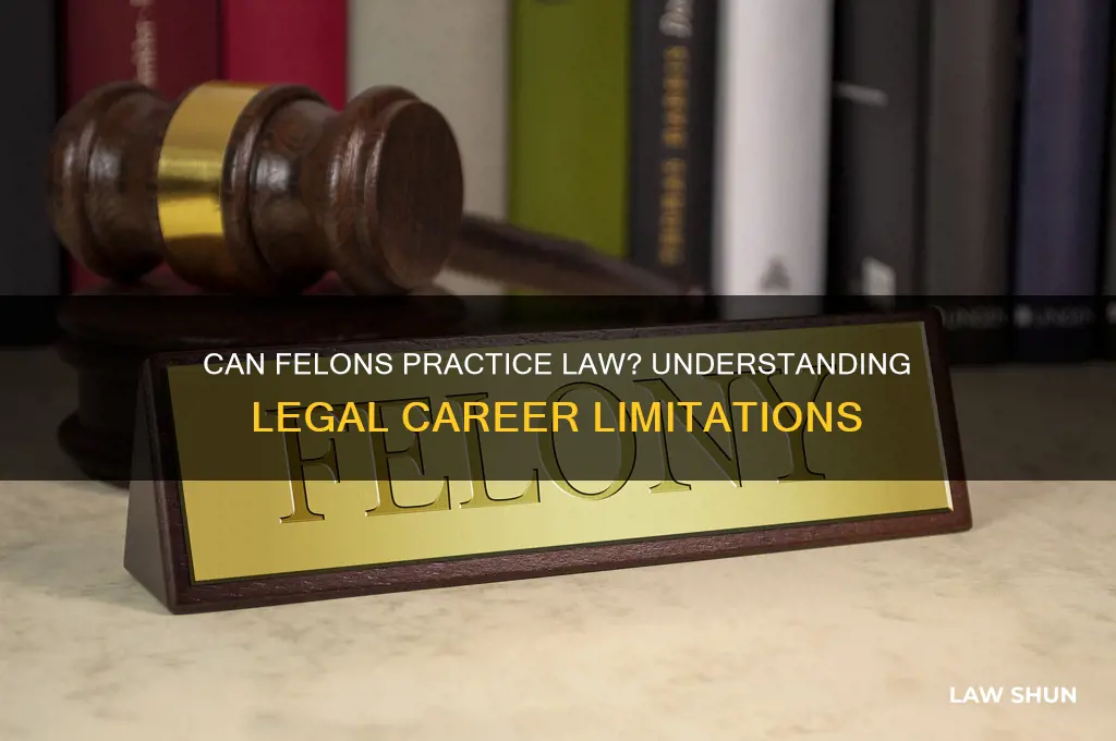 Can Felons Practice Law? Understanding Legal Career Limitations | LawShun