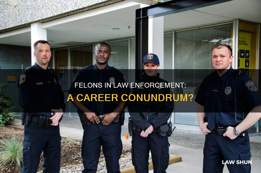 Felons In Law Enforcement: A Career Conundrum? | LawShun