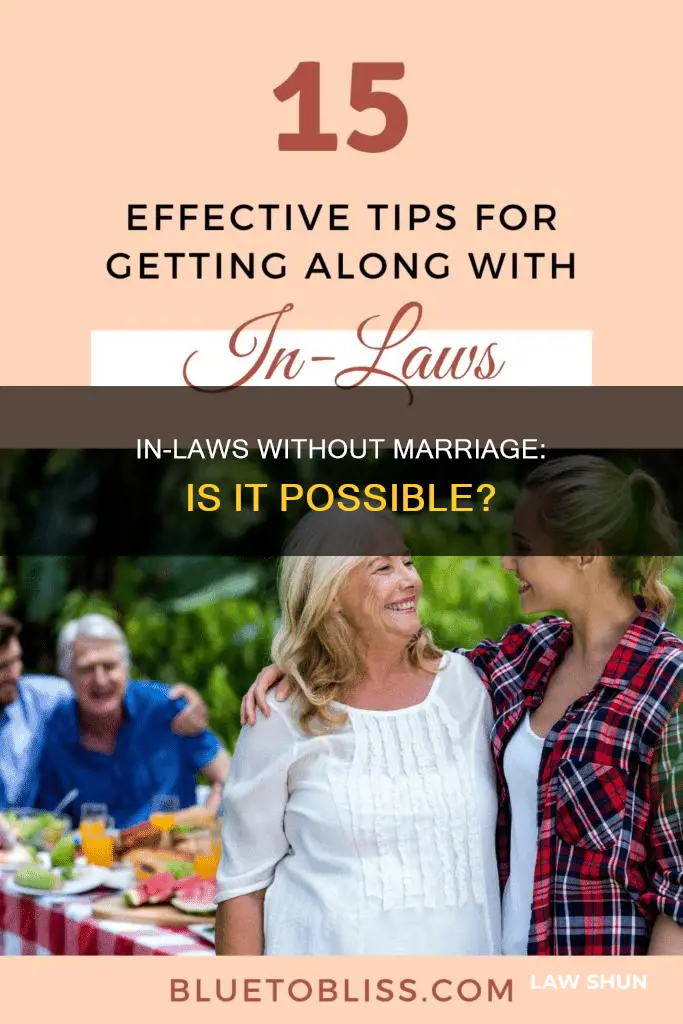 In-Laws Without Marriage: Is It Possible? | LawShun