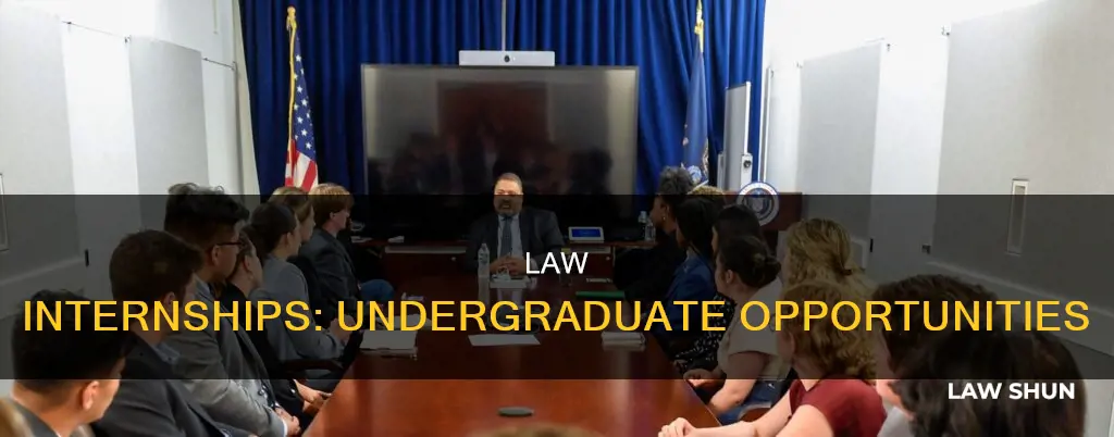Law Internships: Undergraduate Opportunities | LawShun