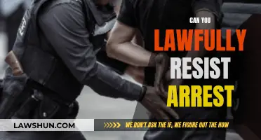 Understanding The Legal Boundaries Of Arresting Minors | LawShun