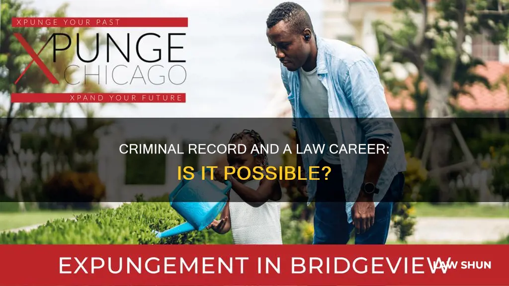 Criminal Record And A Law Career: Is It Possible? | LawShun