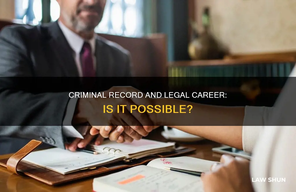Criminal Record And Legal Career: Is It Possible? | LawShun