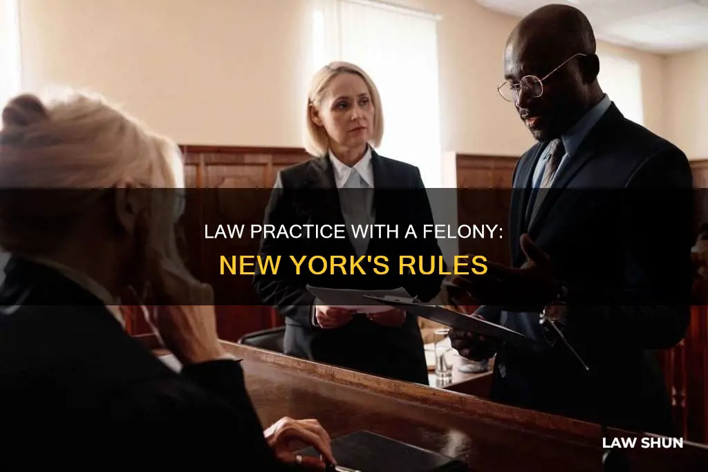 Law Practice With A Felony: New York's Rules | LawShun