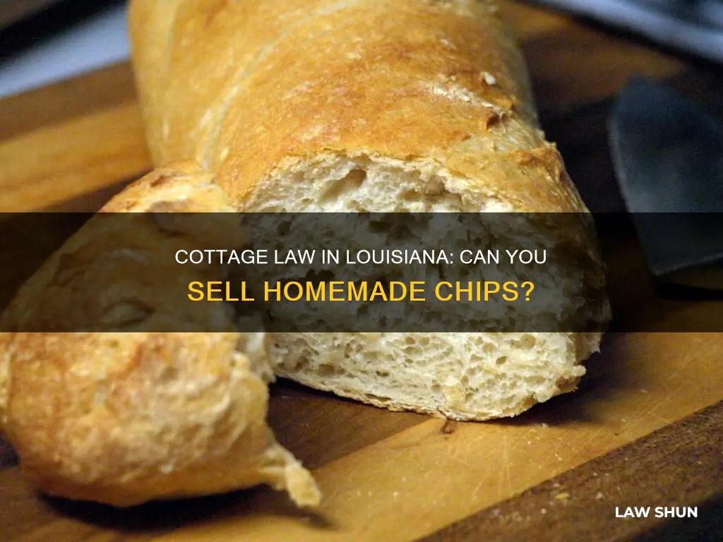 Cottage Law In Louisiana: Can You Sell Homemade Chips? | LawShun