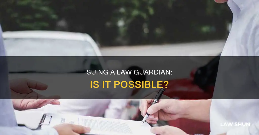 Suing A Law Guardian: Is It Possible? | LawShun
