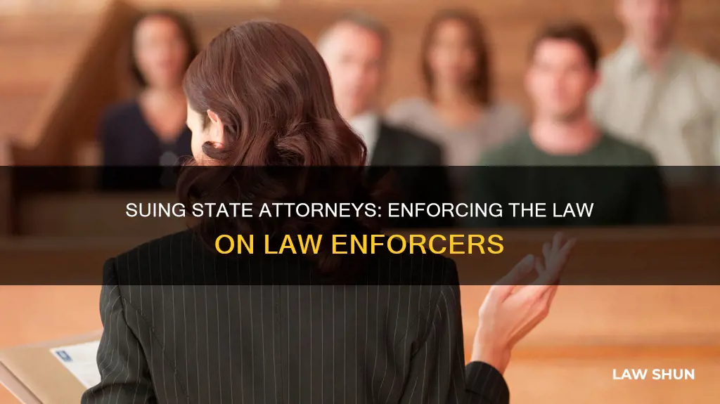 Suing State Attorneys: Enforcing The Law On Law Enforcers | LawShun